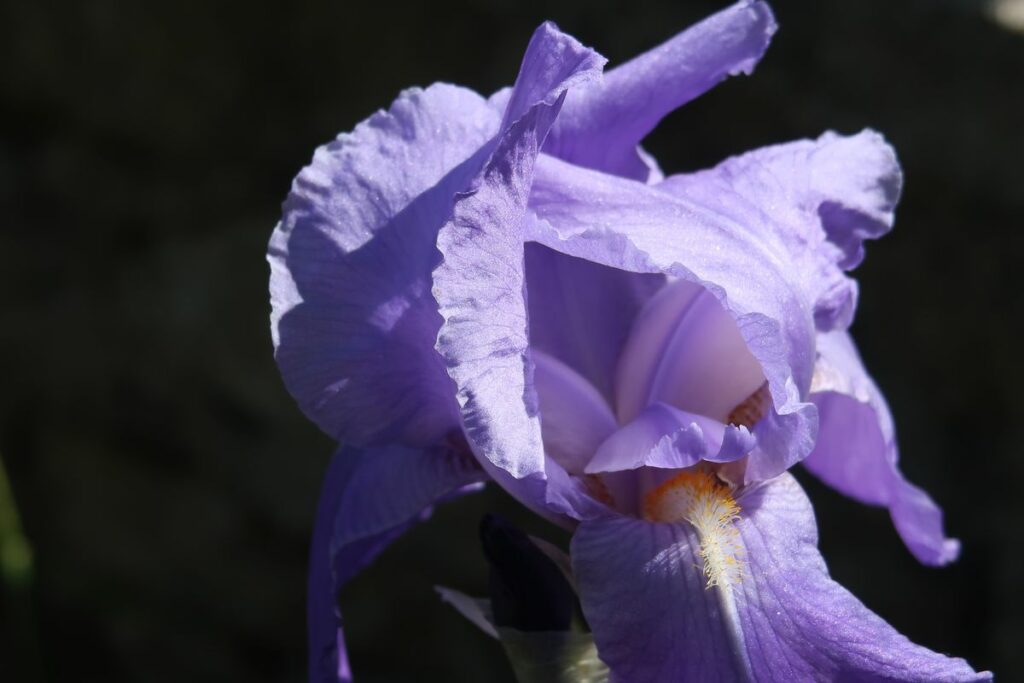 Bureau ADDOR 2025 | Addor